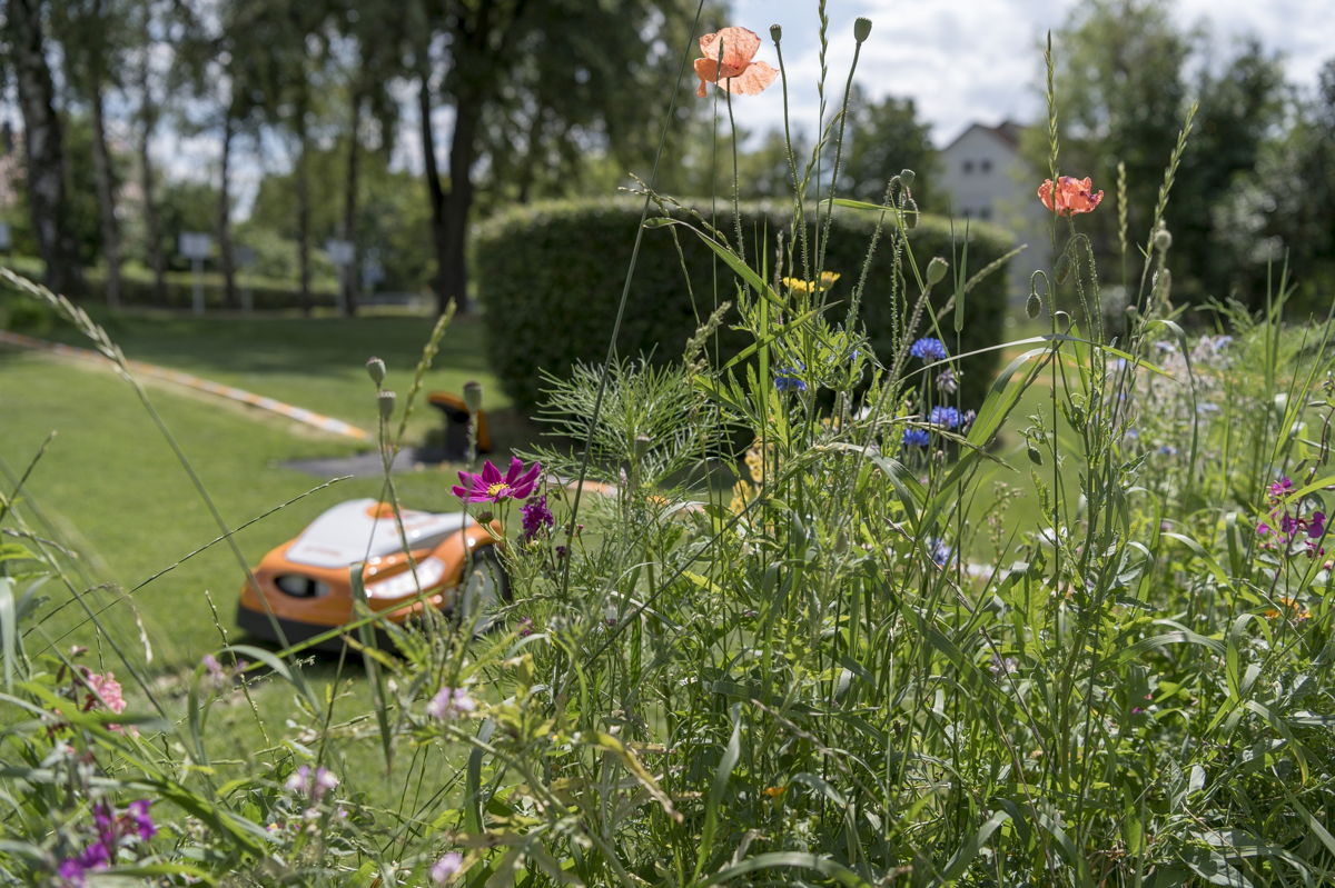 Een tuin waarin insecten en andere kleine diertjes welkom zijn ...