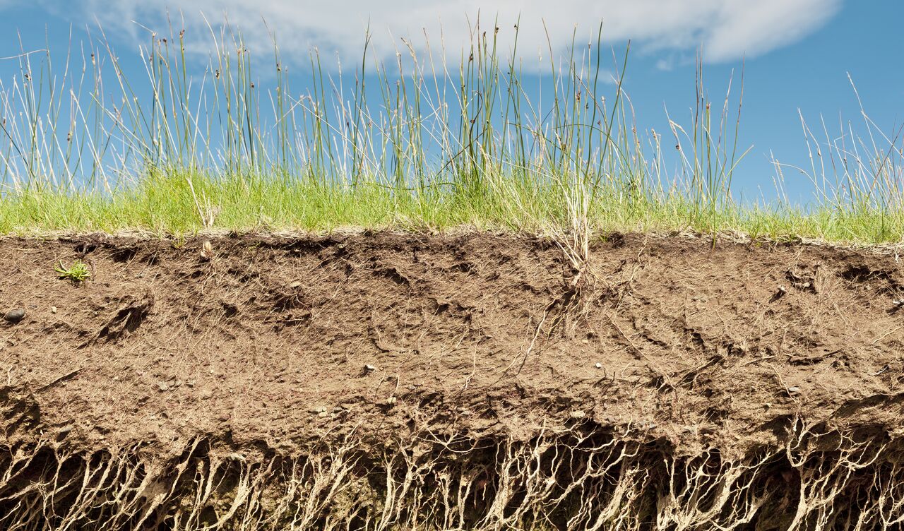 Blijven we de bodem bemesten of gaan we hem voeden? - GreenTechPower